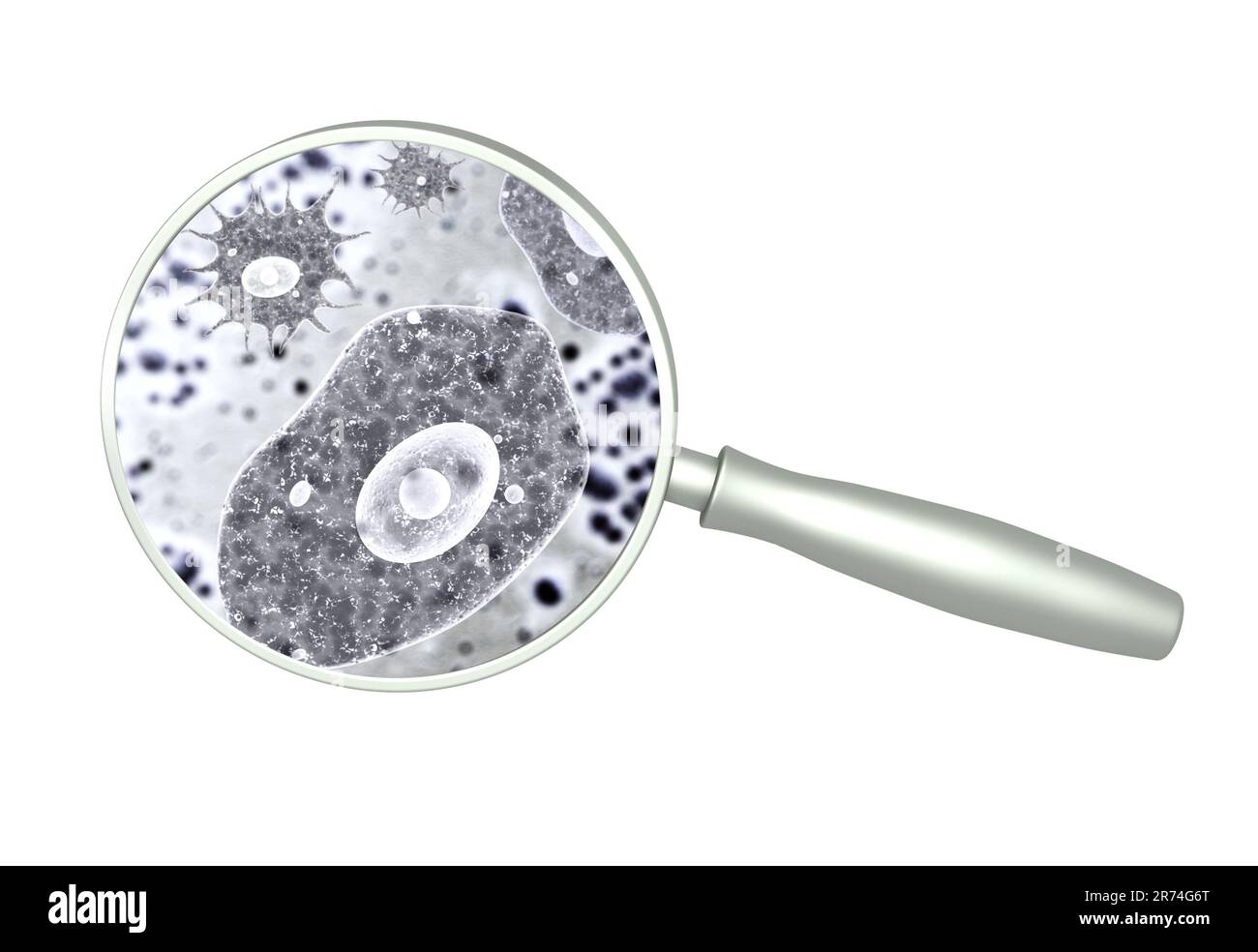 Magnifying glass and pathogenic bacterias and viruses. Fast ...