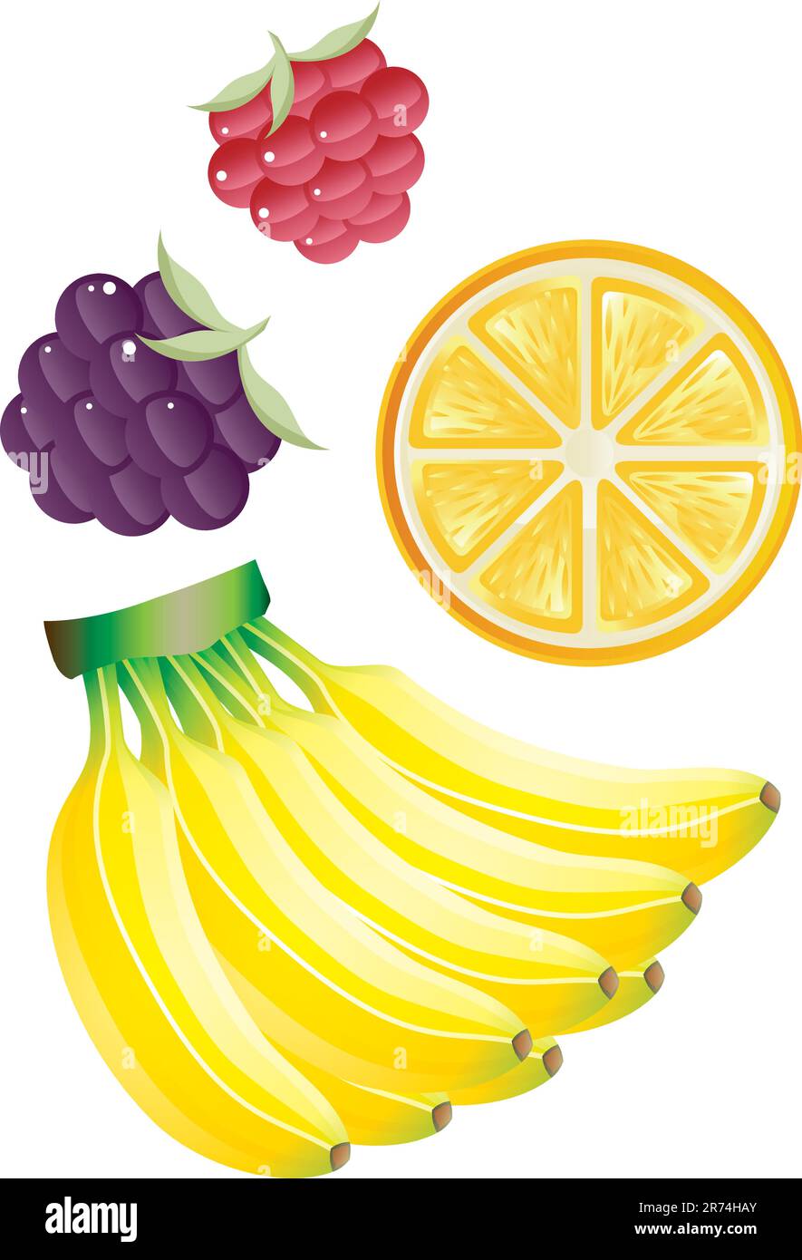 Stock Vector Illustration: Fruits- vector Stock Vector Image & Art - Alamy Stock Vector Illustration: Fruits- vector Stock Vector Image & Art - Alamy
