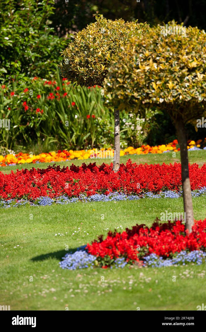 Floral display in Hexham park, Northumberland Stock Photo - Alamy