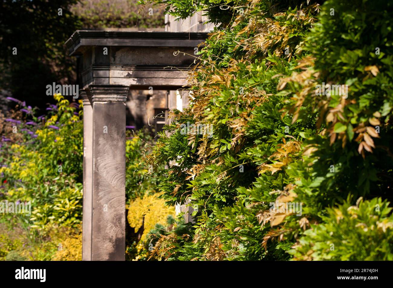 Portico in Hexham park, Northumberland Stock Photo - Alamy