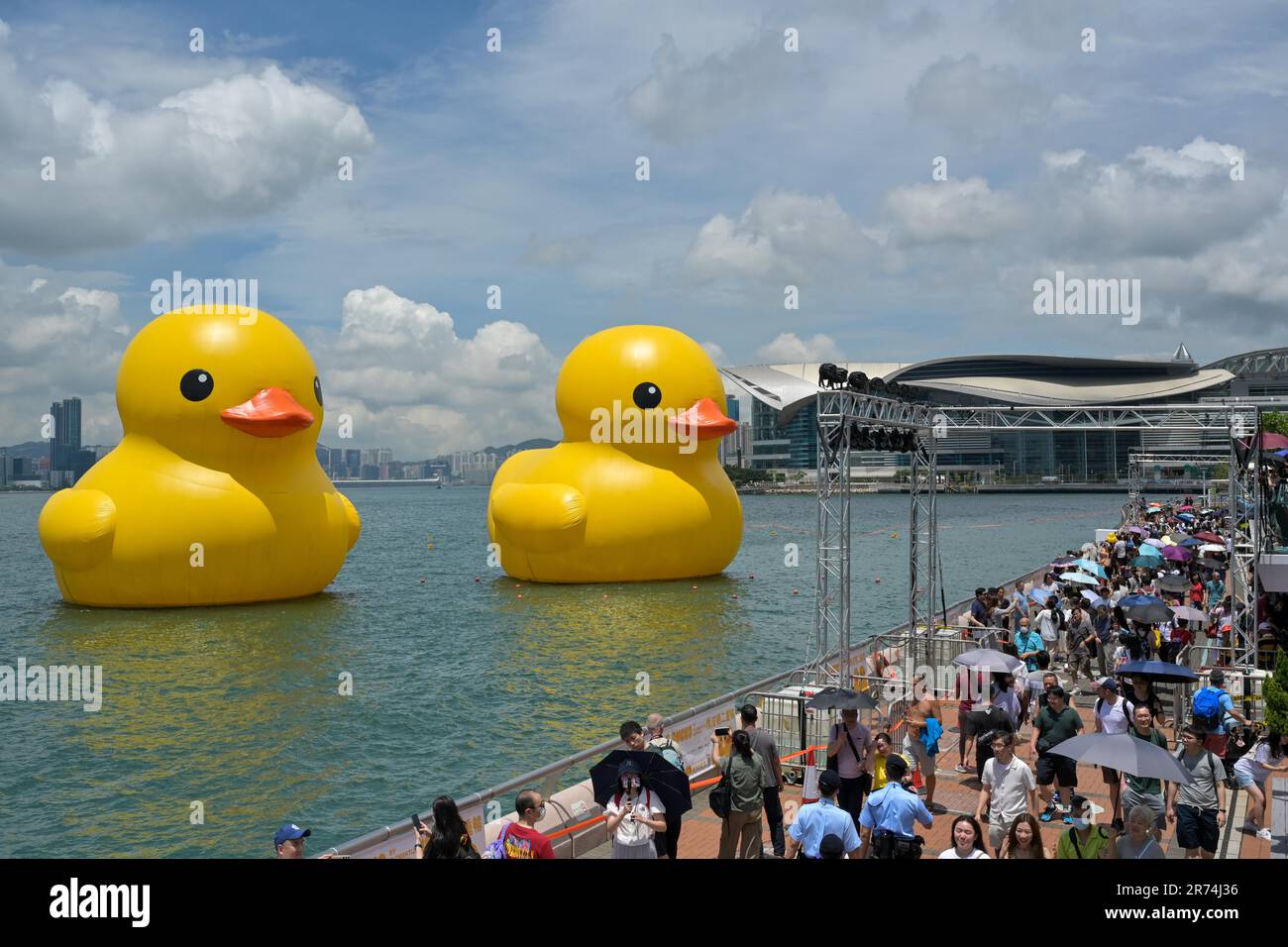**CHINESE MAINLAND, HONG KONG, MACAU AND TAIWAN OUT** A pair of giant ...