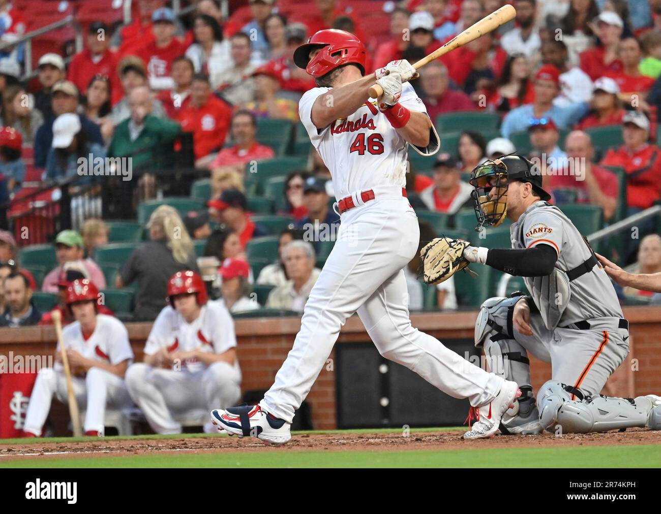 ST. LOUIS, MO - JUNE 12: St. Louis Cardinals first baseman Paul ...