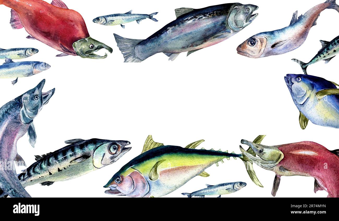 Frame of various fresh sea fish watercolor illustration isolated on ...