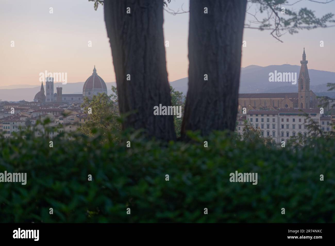 Florence Italy, sunset Stock Photo - Alamy