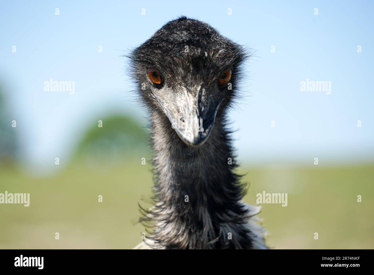 North sea farmers baltic hi-res stock photography and images - Alamy