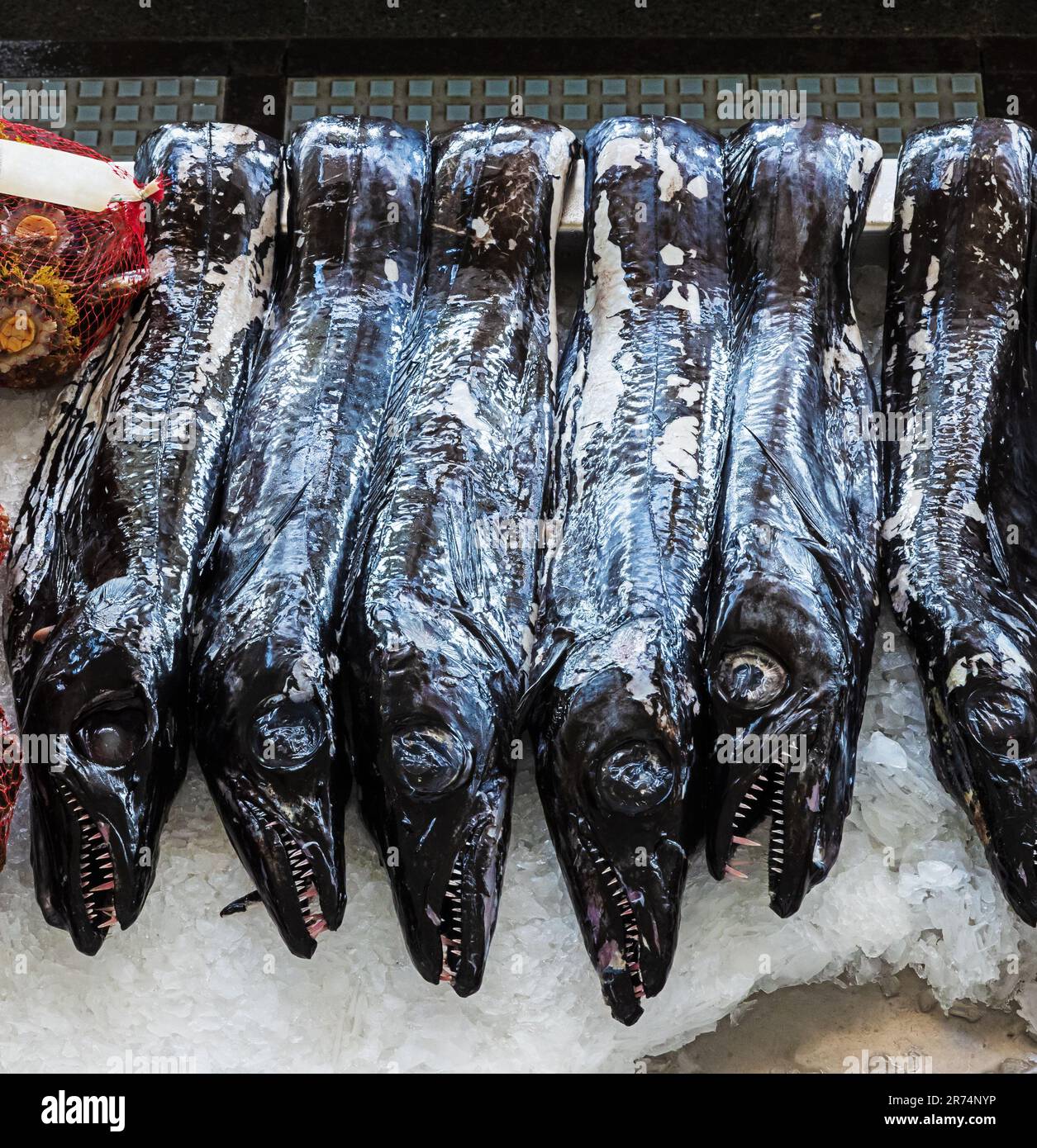 Black scabbardfish on display on the Farmer's Market Stock Photo - Alamy