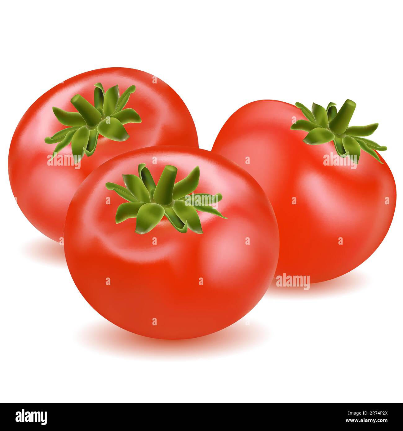 Fresh ripe tomatoes on Stock Vector Images - Alamy