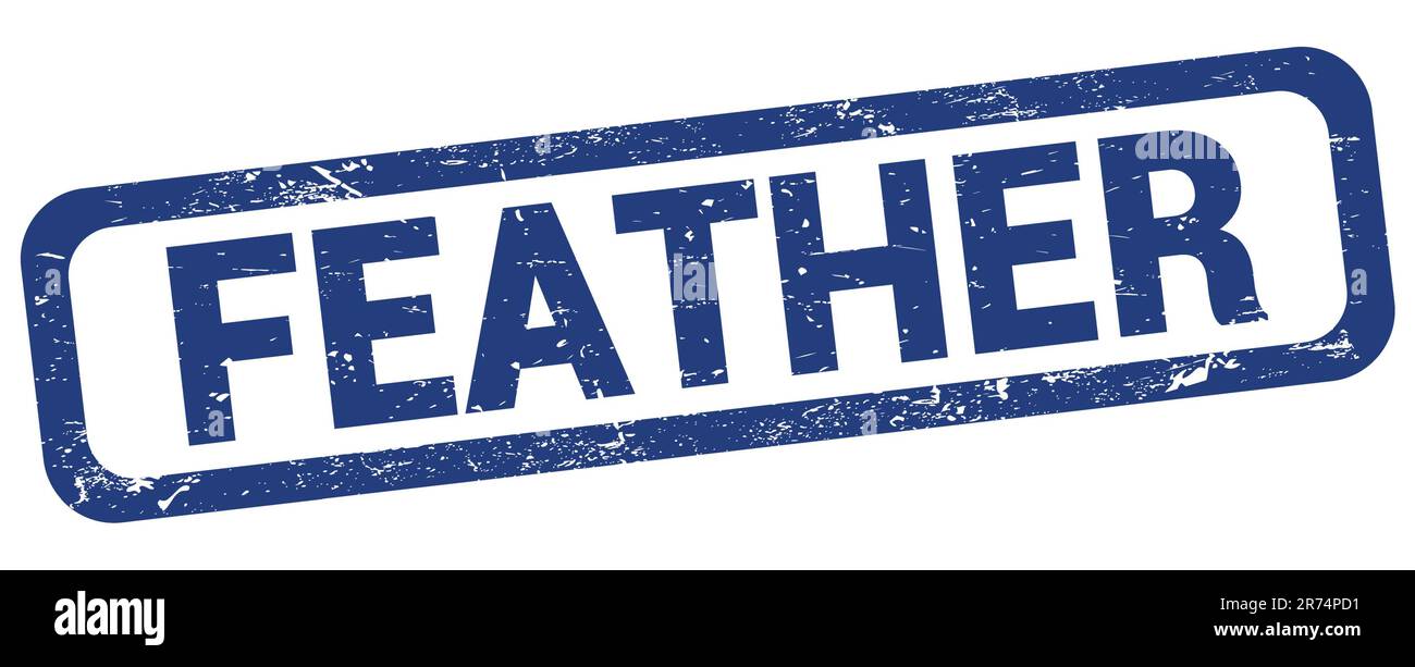 FEATHER text written on blue rectangle stamp sign Stock Photo - Alamy