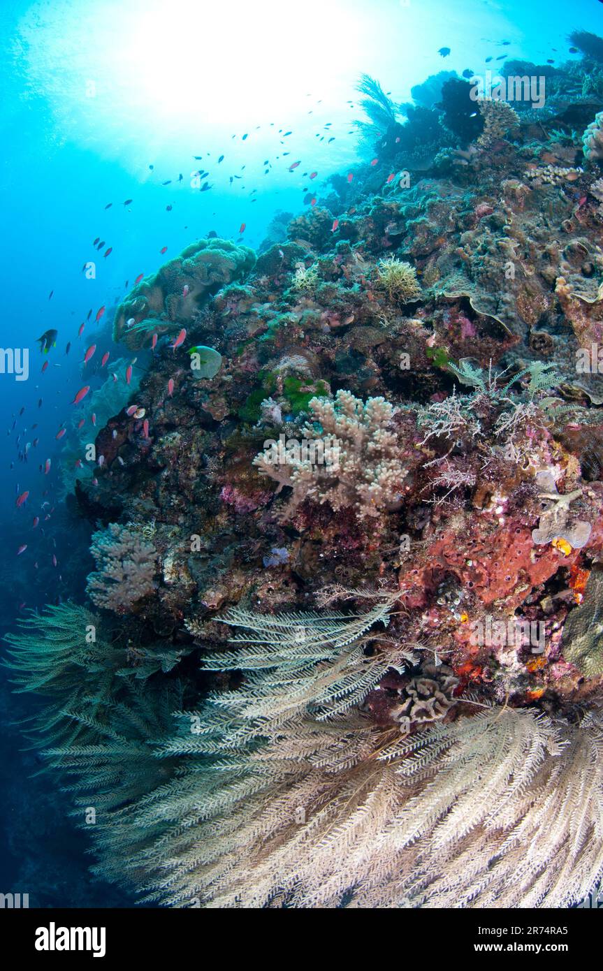 Uhak reef hi-res stock photography and images - Alamy