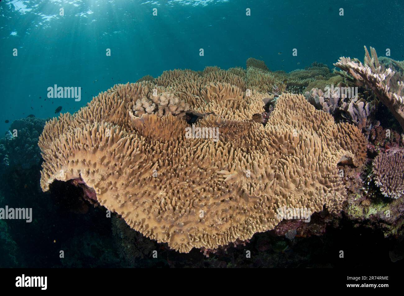 Uhak village hi-res stock photography and images - Alamy