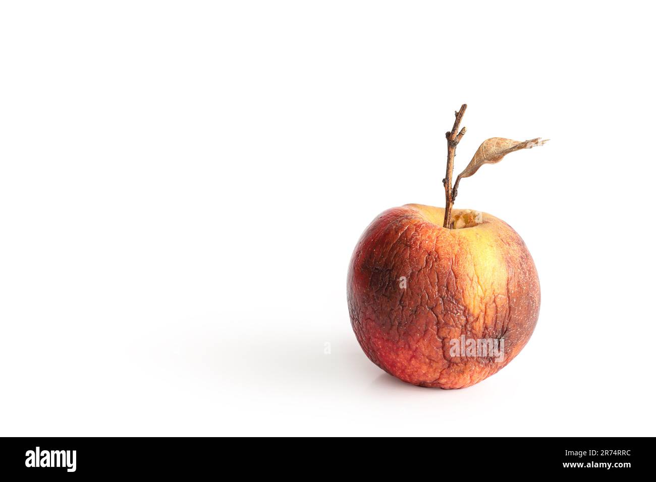 The apple withered and wrinkled, Isolated on a white background Stock ...