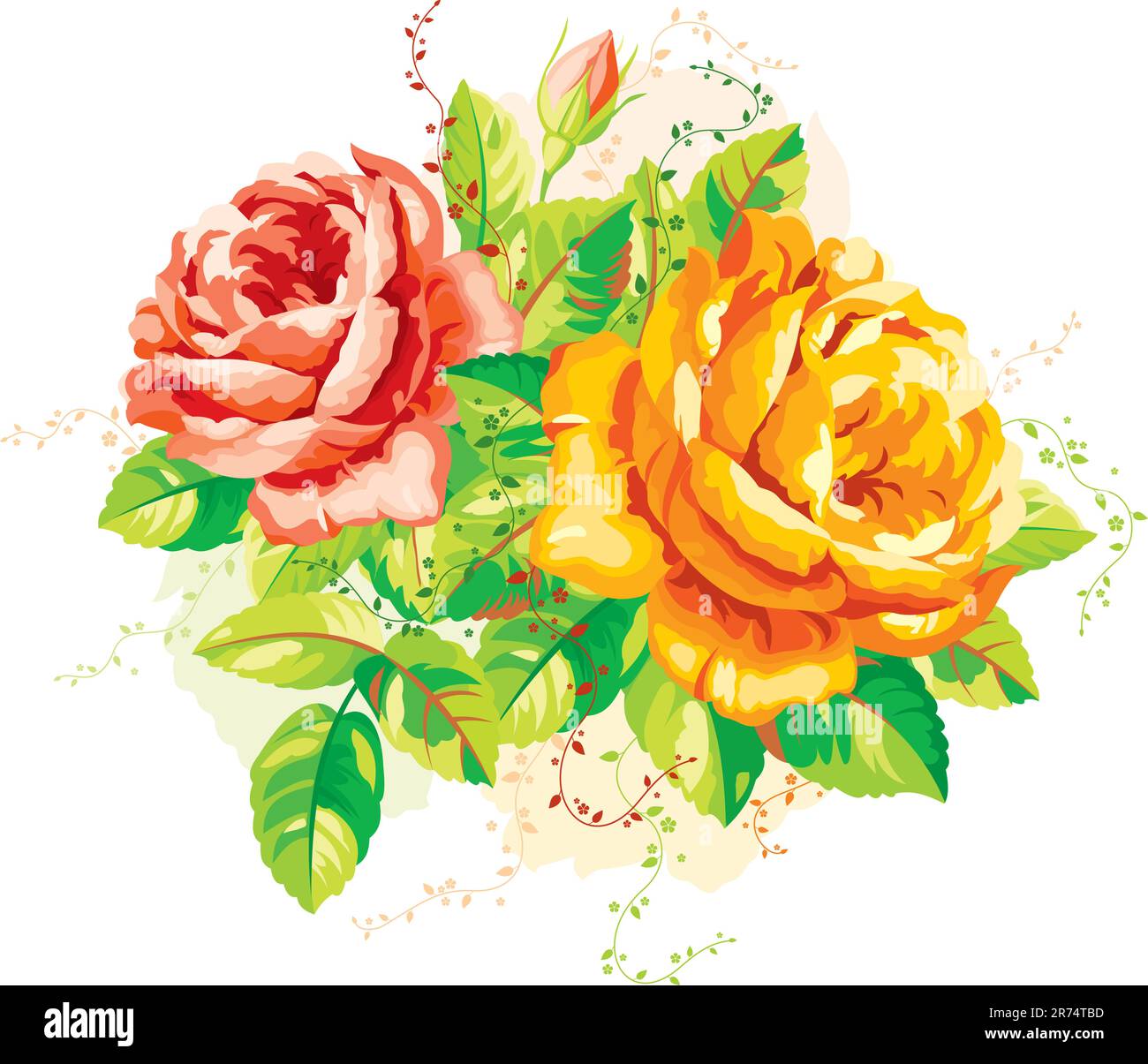 Yellow garden rose Stock Vector Images - Alamy