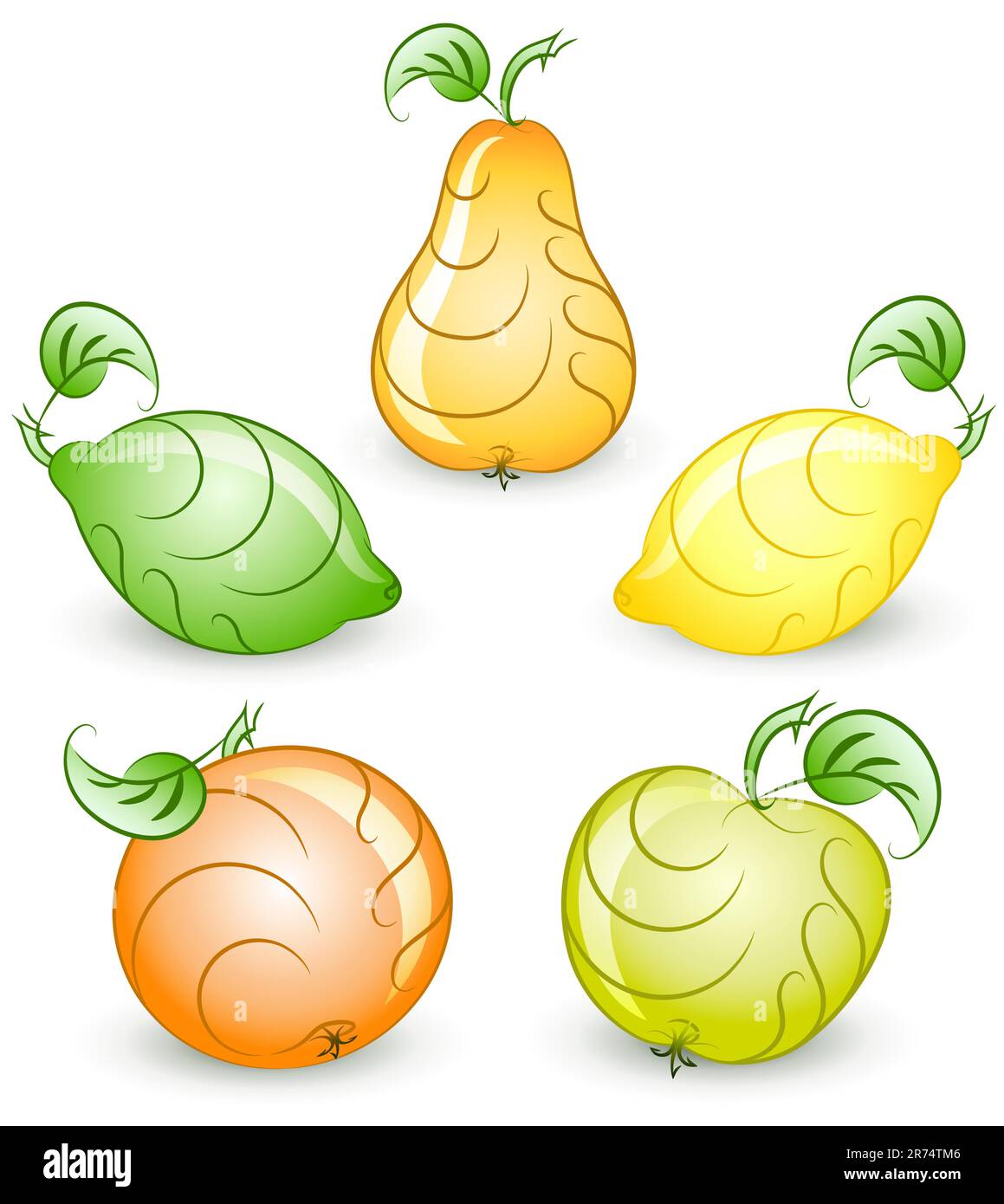 set of stylized vector fruits vector illustration, isolated on white ...