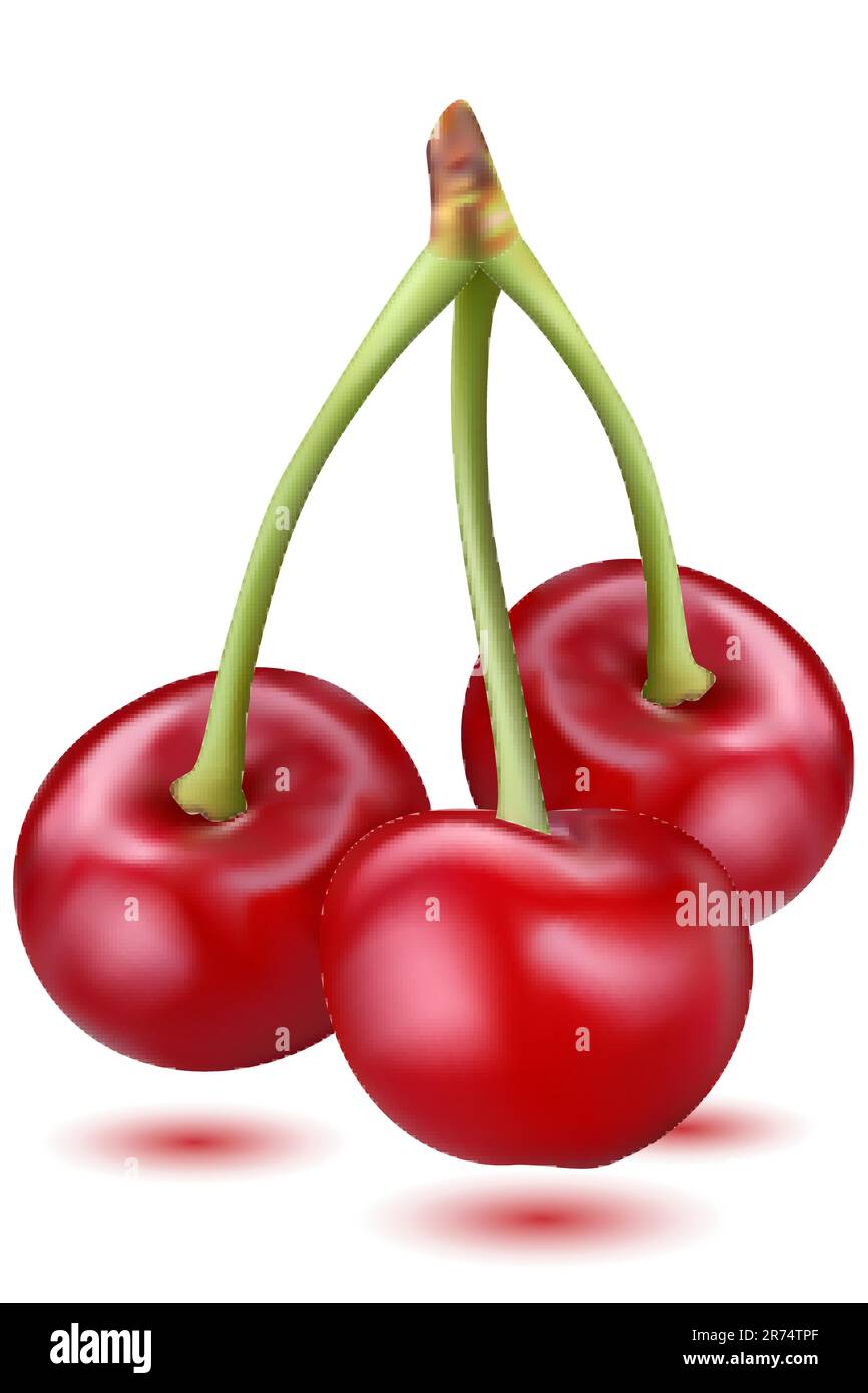 Double cherries Stock Vector Images - Alamy