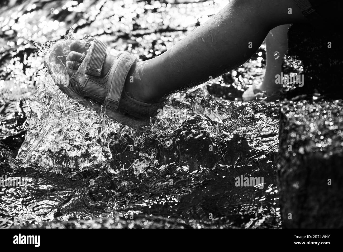 A human left foot wearing sandals is playfully splashing around in a ...