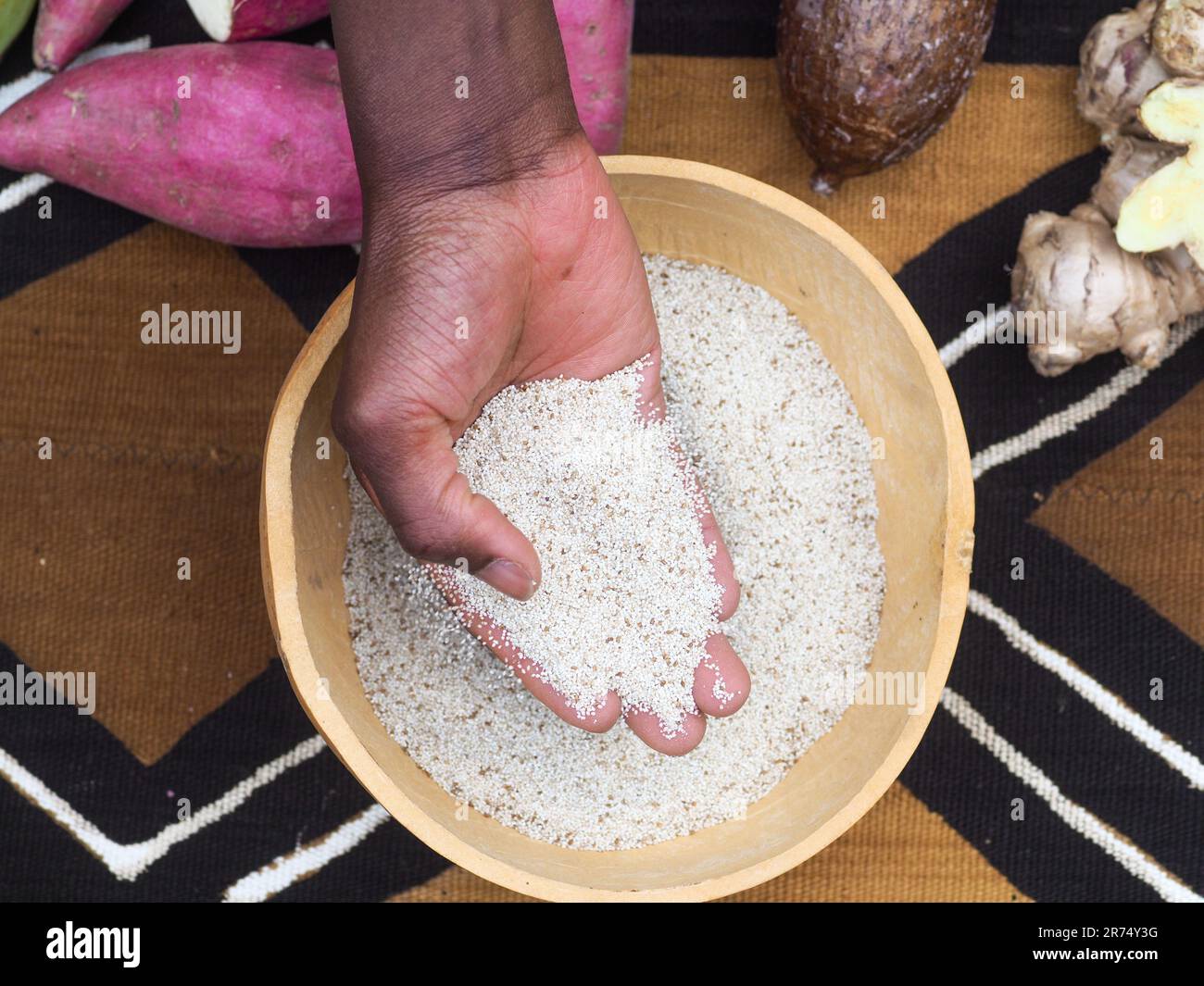 Teff grain from Africa, alternative gluten-free flour for baking and ...