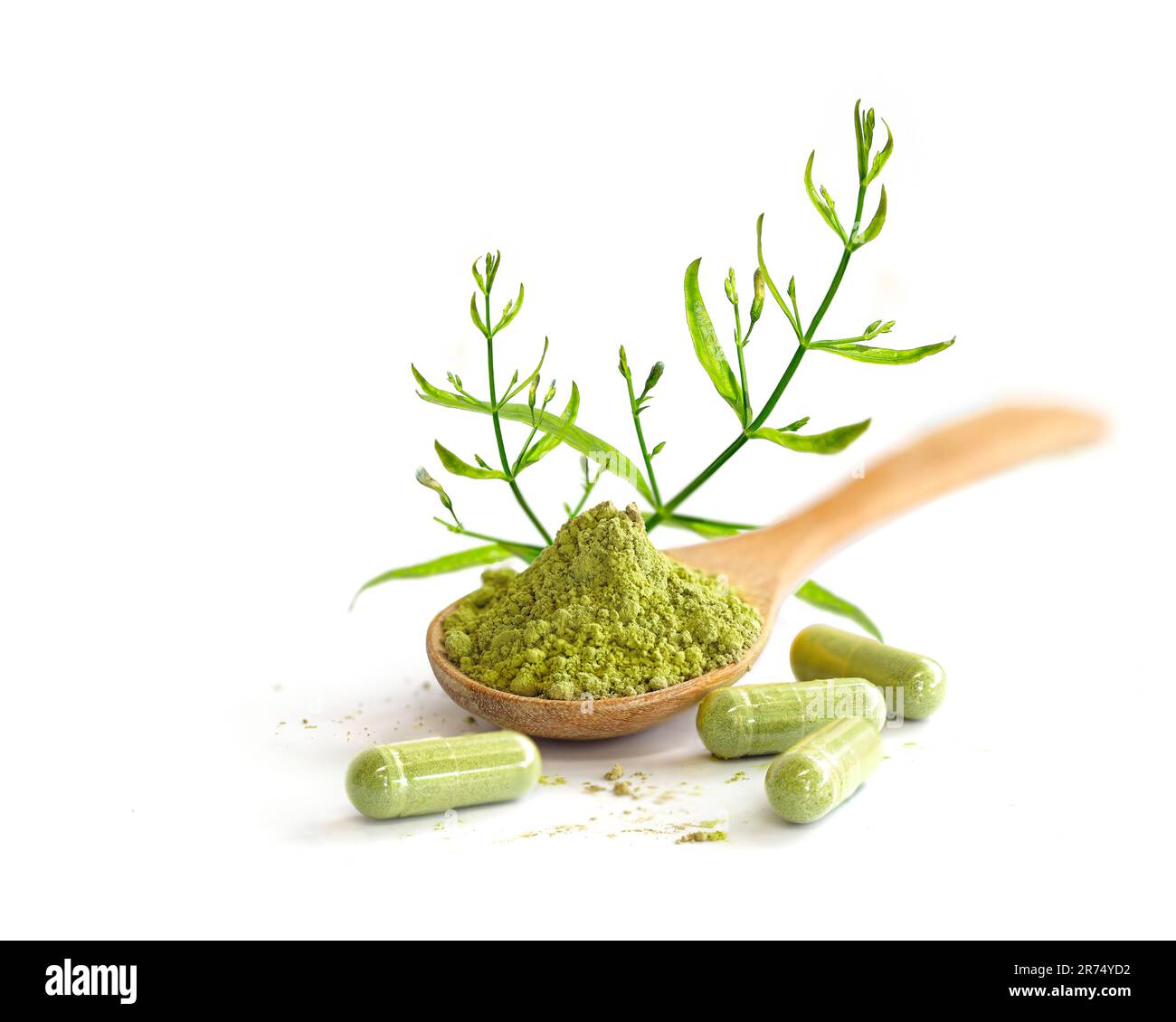 Andrographis paniculata herbal powder and capsule, isolated on white ...