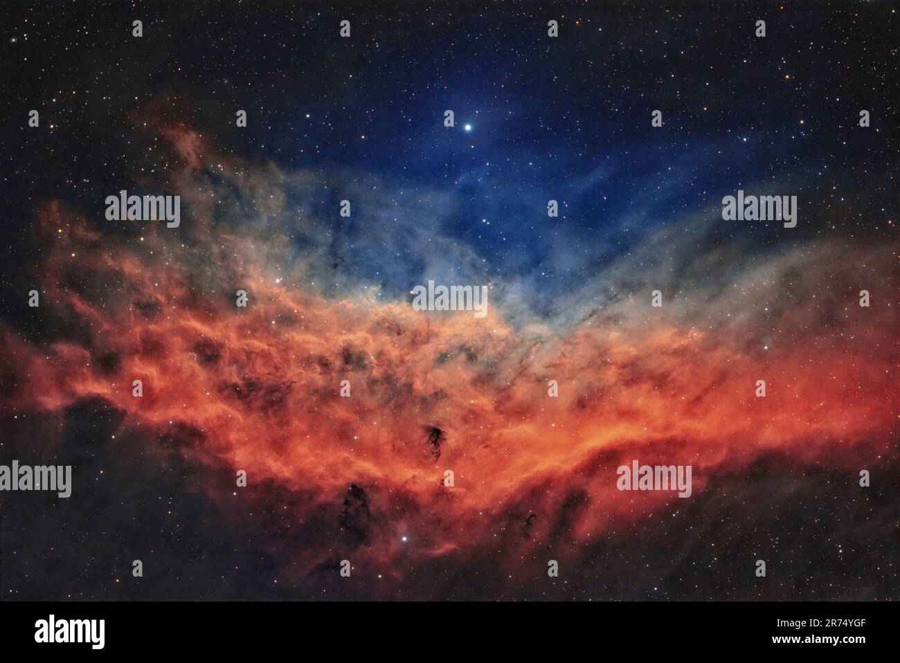 Named for its shape, the California Nebula is a gas nebula in the ...