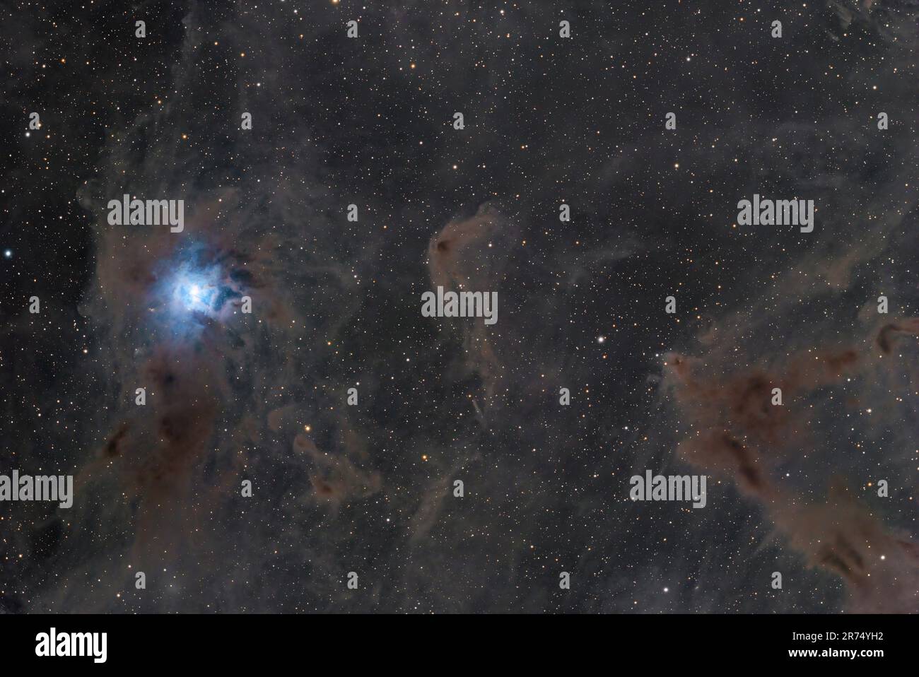 The Iris Nebula and the surrounding dark nebulae Stock Photo - Alamy