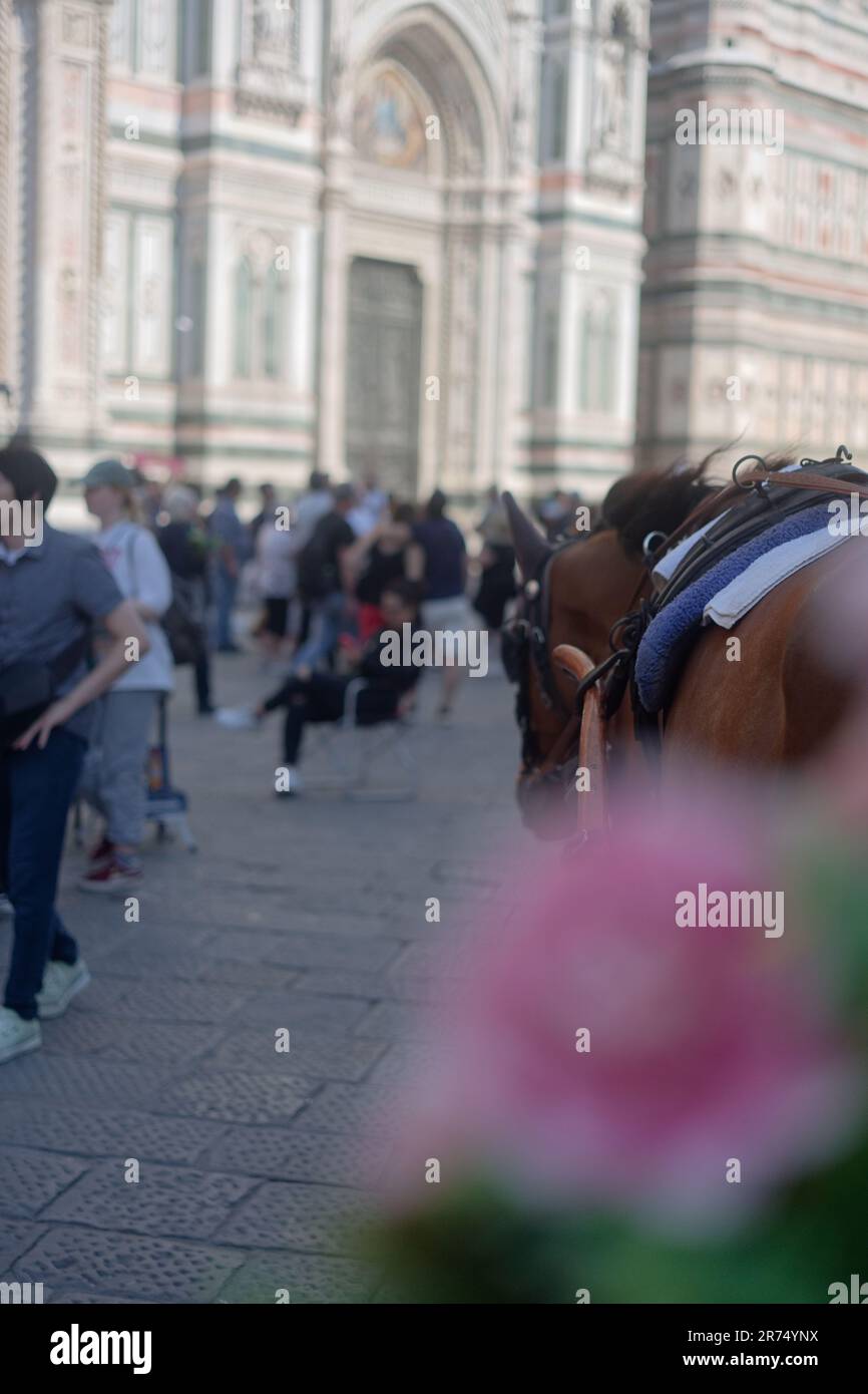 Via cavour florence hi-res stock photography and images - Alamy