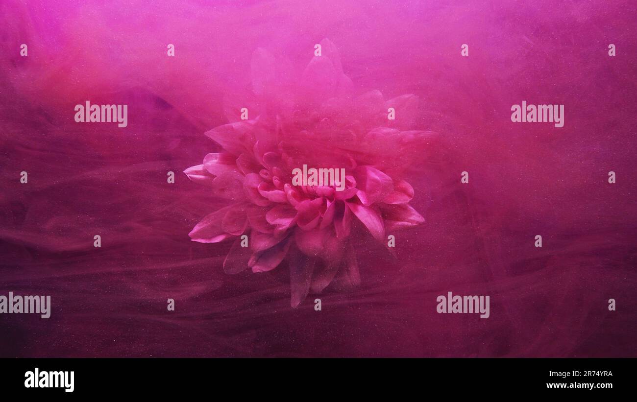 Glitter flow color explosion underwater hi-res stock photography and ...