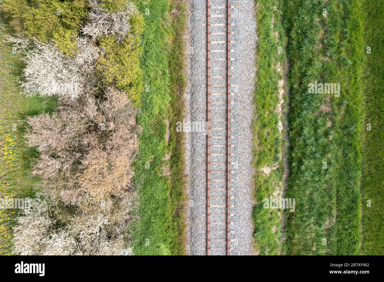 Flowering fruit trees, track, track bed, Germany Stock Photo - Alamy