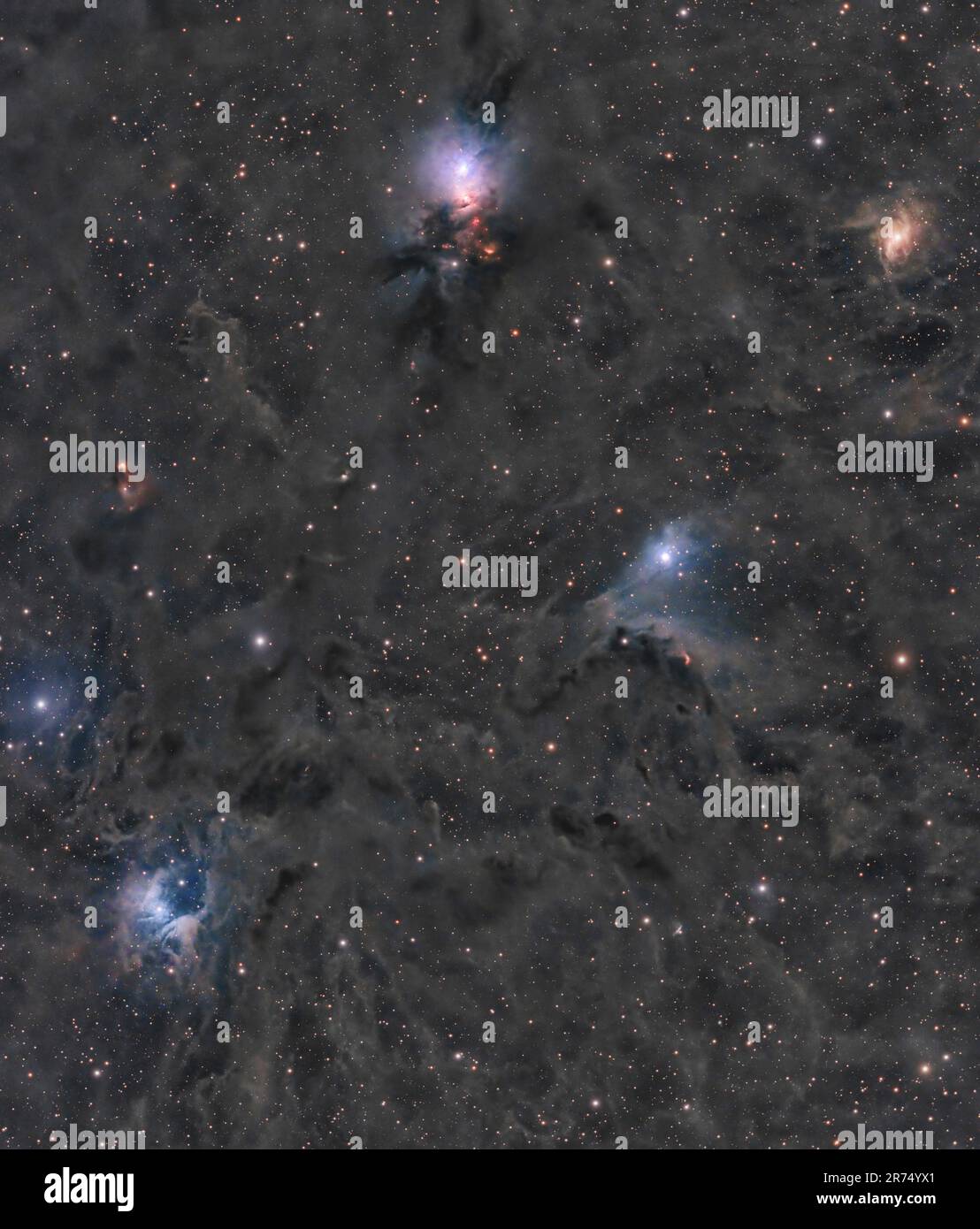 NGC 1333 - The Embryo Nebula Stock Photo - Alamy