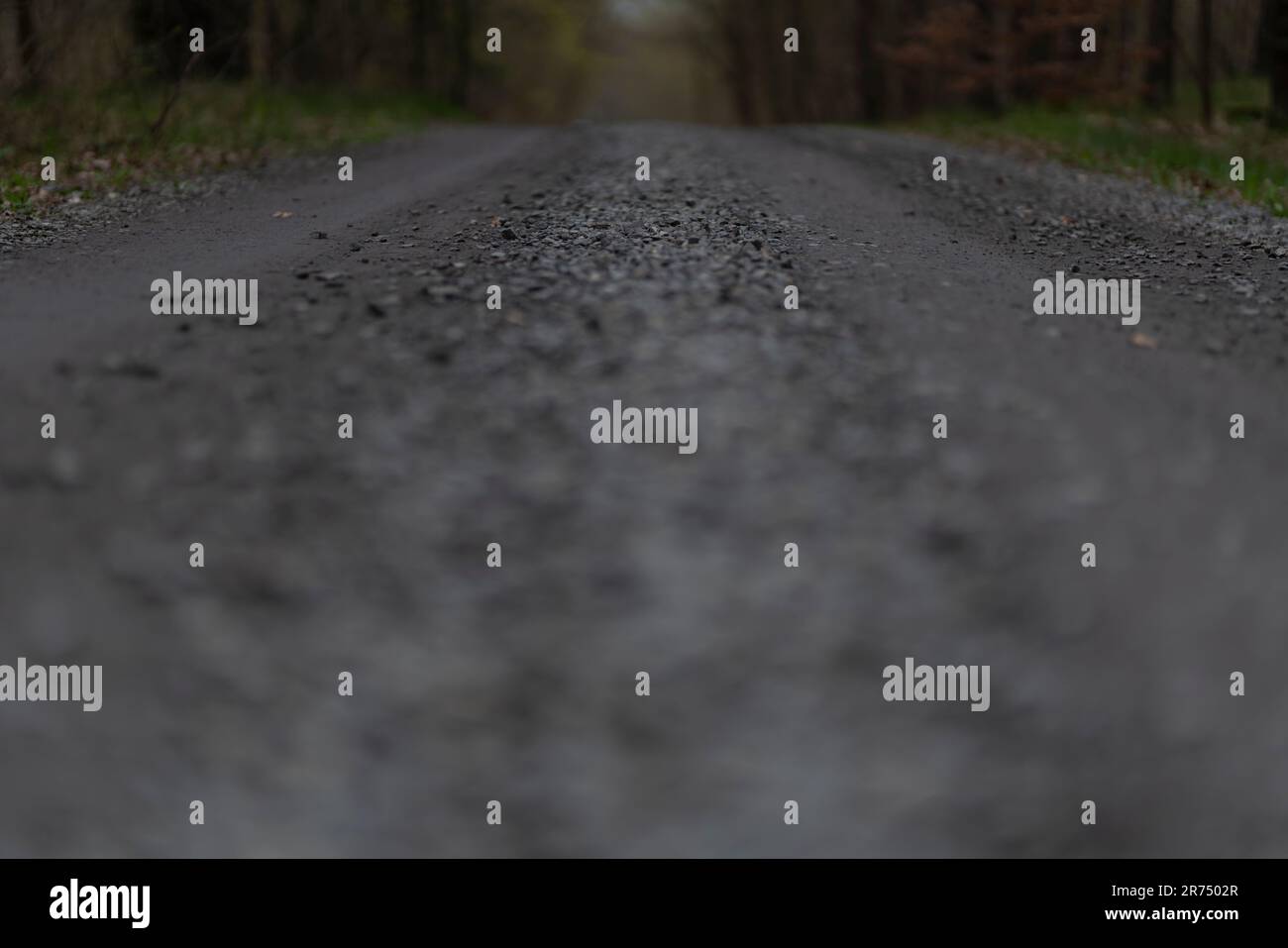 Forest road made of gravel for forestry vehicles, very shallow depth of ...