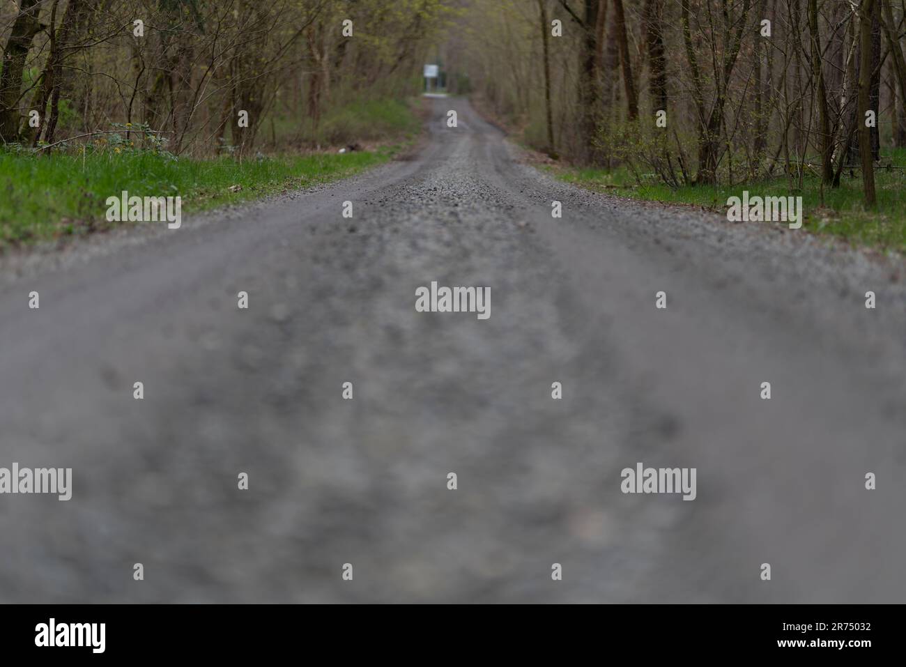 Forest road made of gravel for forestry vehicles, very shallow depth of ...
