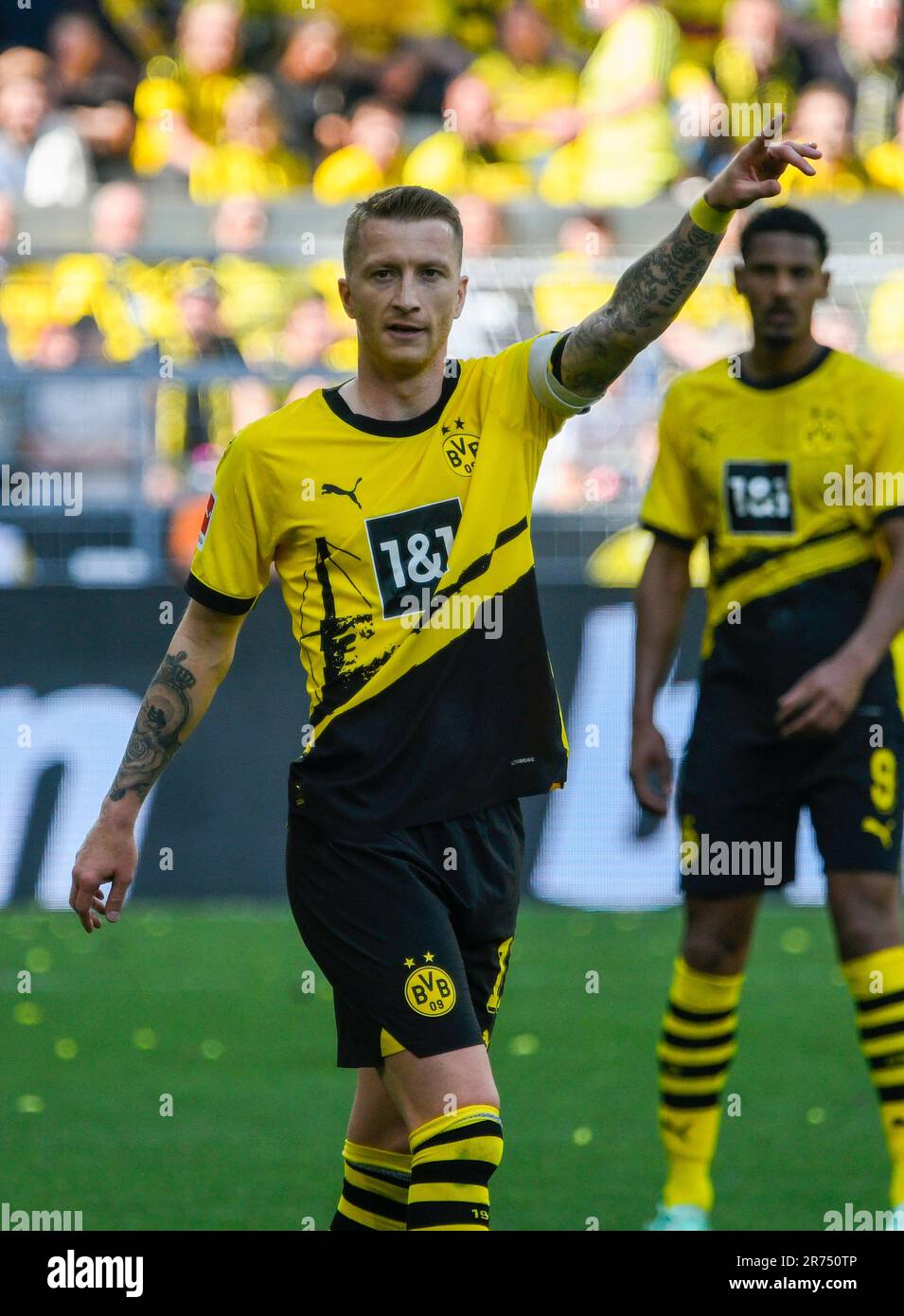 Kit season 23 24 hi-res stock photography and images - Alamy