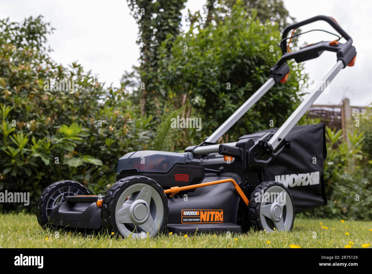 New WORX NITRO WG749E cordless lawn mower - 40 V, lawn mowing, garden ...