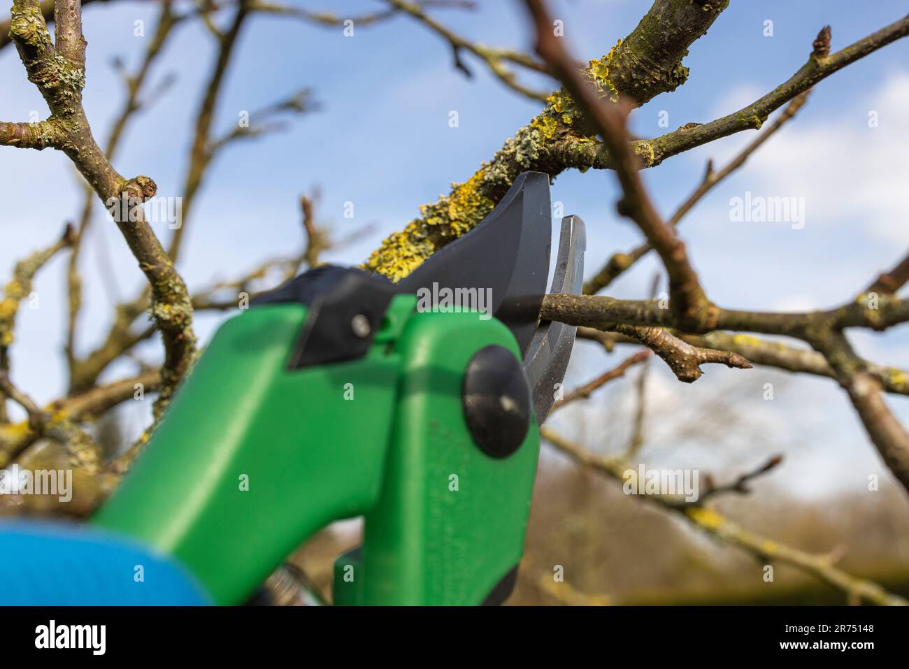 Bypass shears hi-res stock photography and images - Alamy