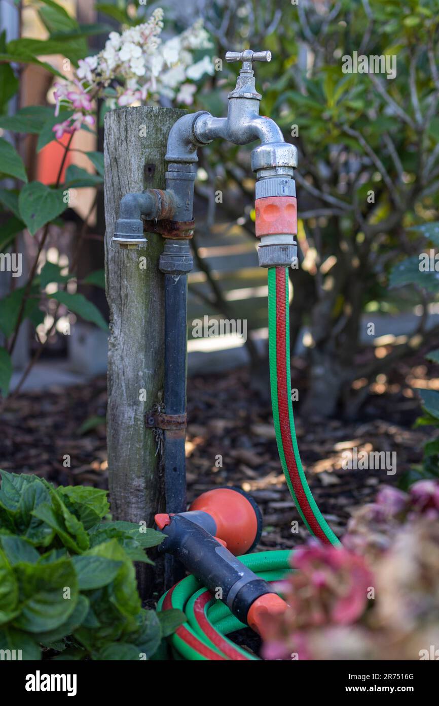 Garden faucet with garden hose connected, outdoor faucet, garden Stock ...