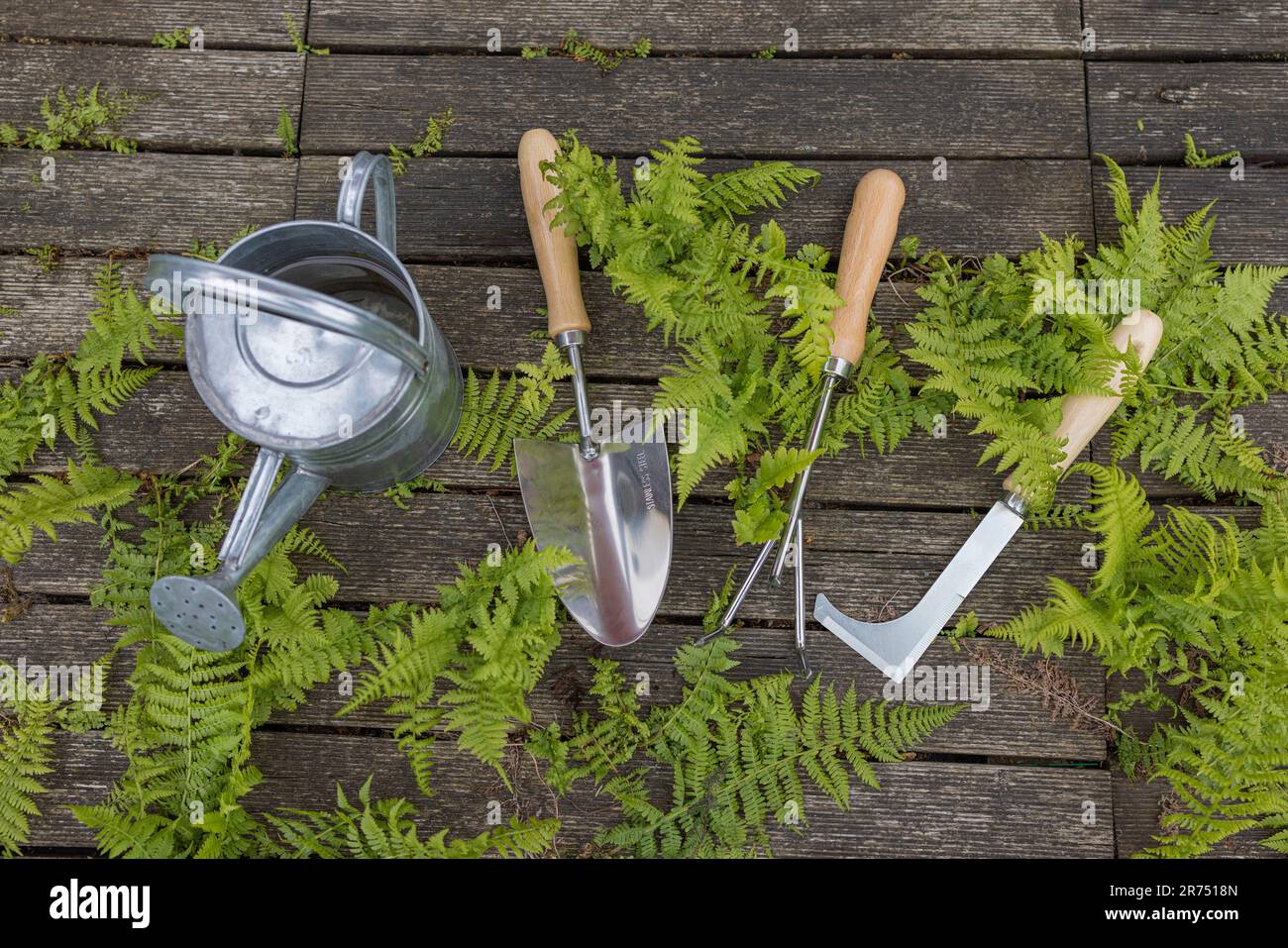 Galvanized watering can, various small garden tools, flower trowel ...