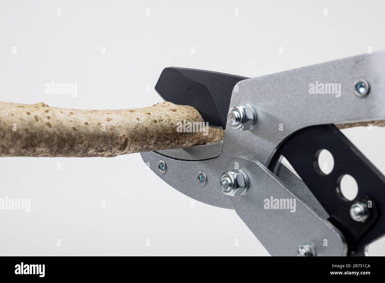 Anvil branch shears, cutting blade, branch, detail, white background ...