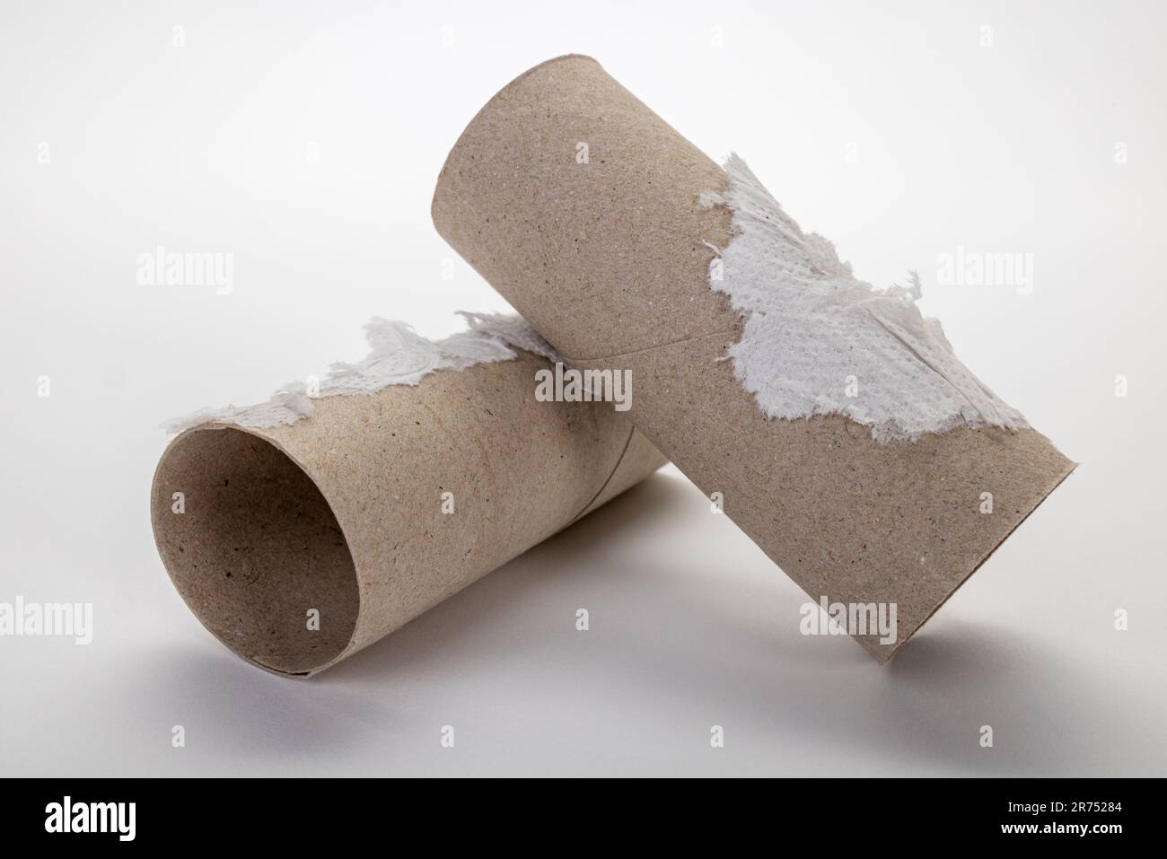 Two empty toilet paper rolls, white background Stock Photo - Alamy