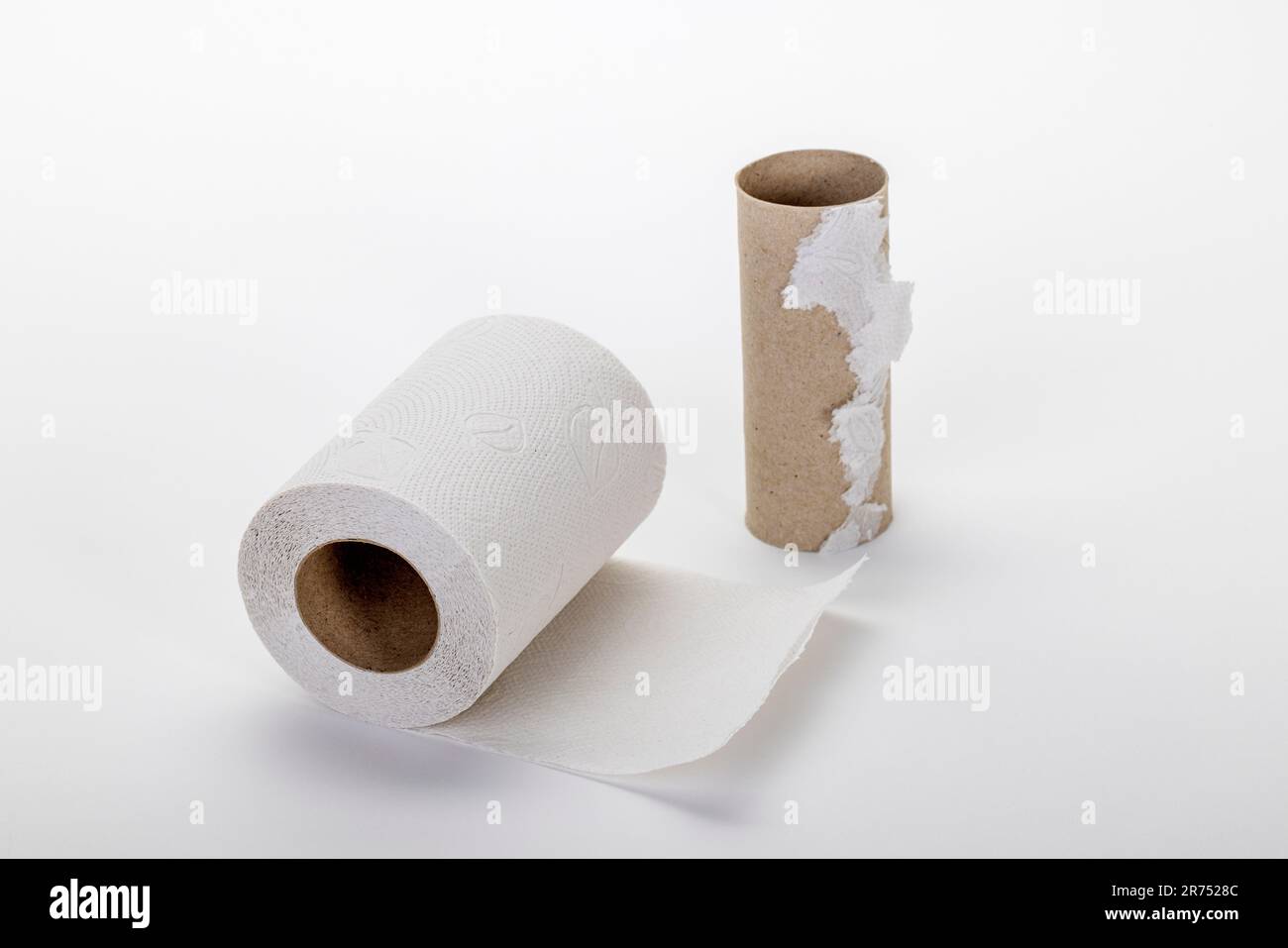 Roll of toilet paper and an empty toilet paper roll, white background ...