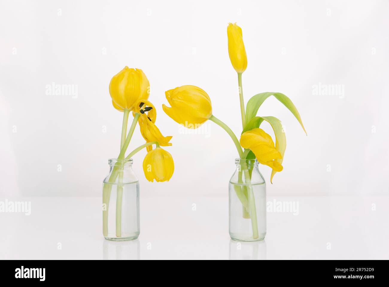 Six different vases hi-res stock photography and images - Alamy