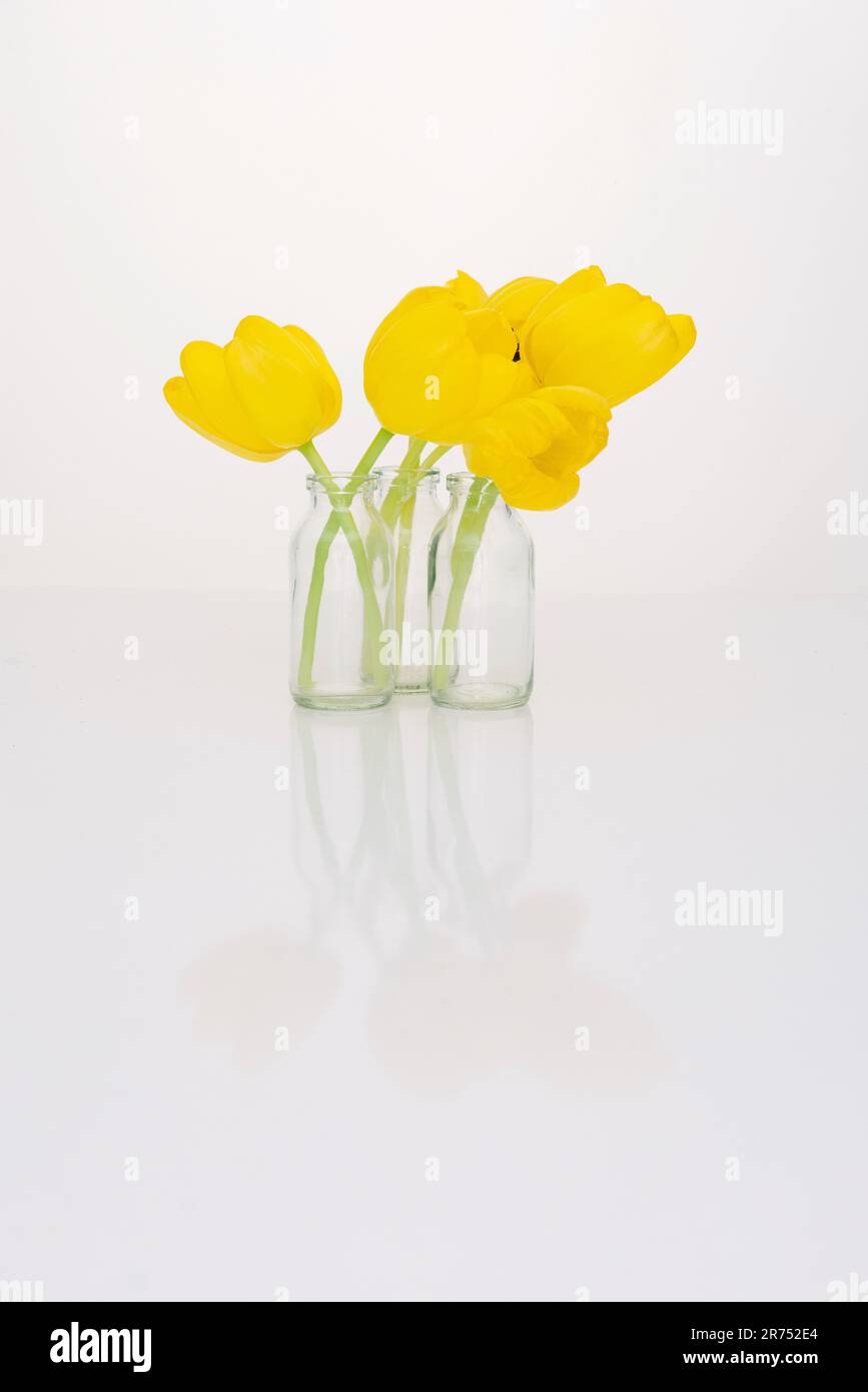 Three small glass vases filled with yellow tulips Stock Photo - Alamy