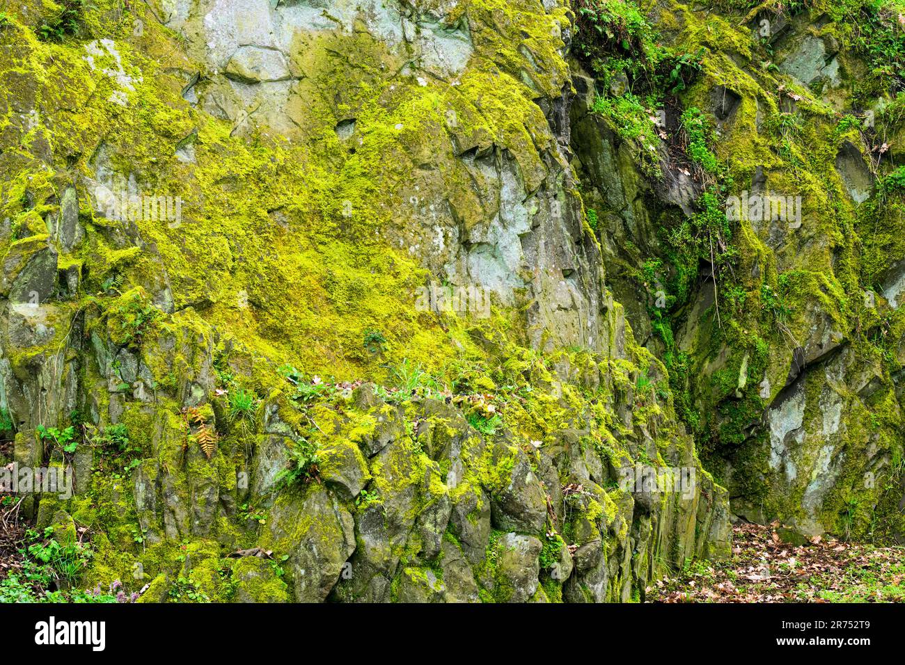 Europe, Sweden, Skane, Söderasen National Park, rock formation with ...