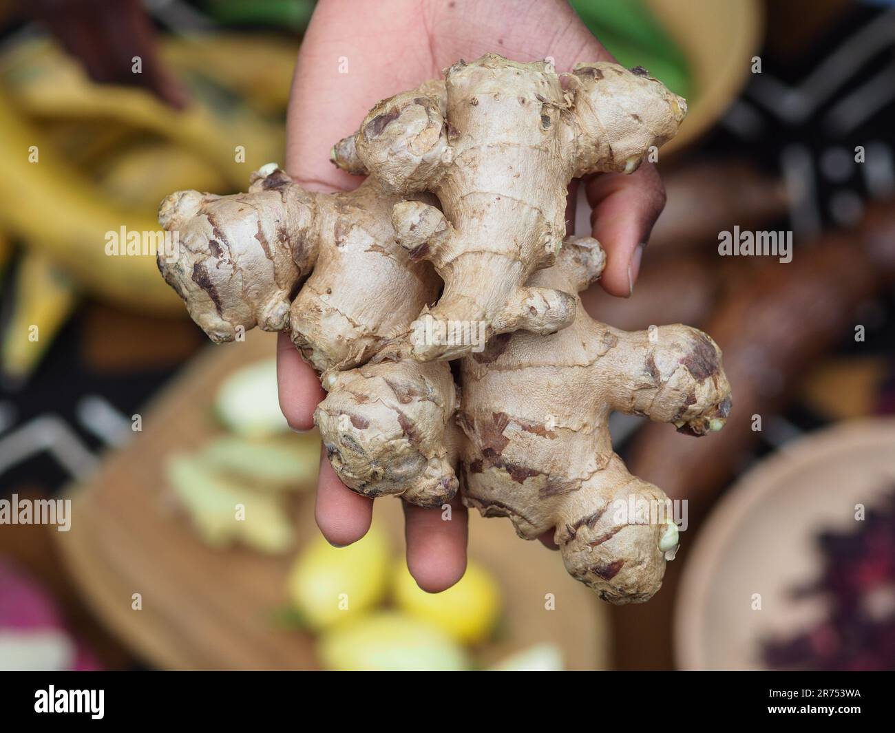 african female hands holding ginger root on african traditional ...