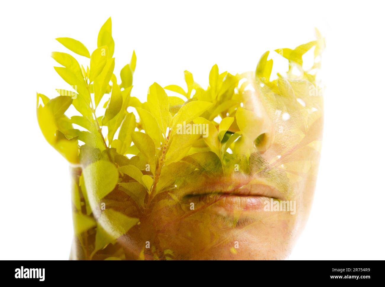 Double exposure portrait of a man's face disappearing into white ...