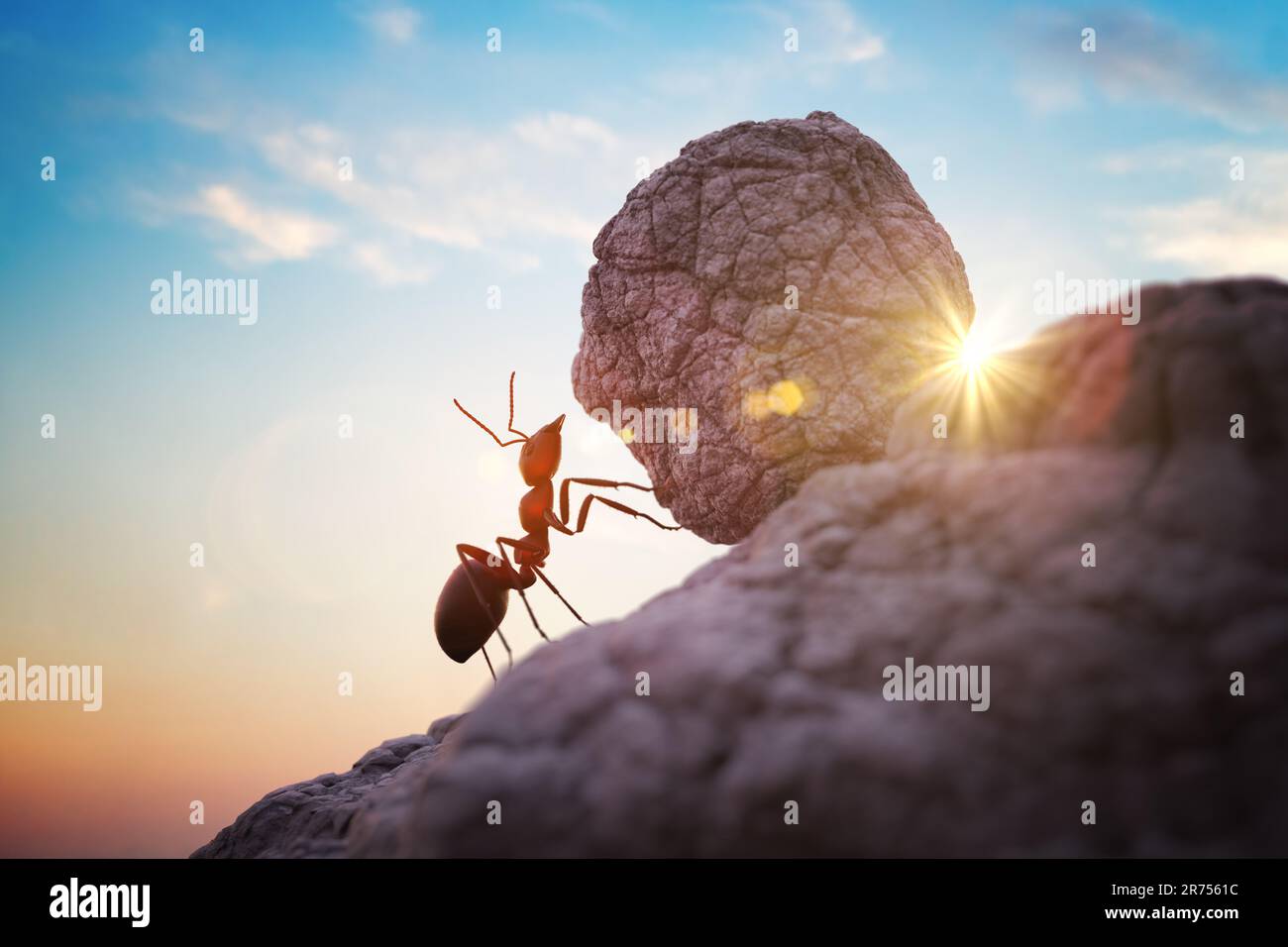 Pushing rock uphill 3d hi-res stock photography and images - Alamy