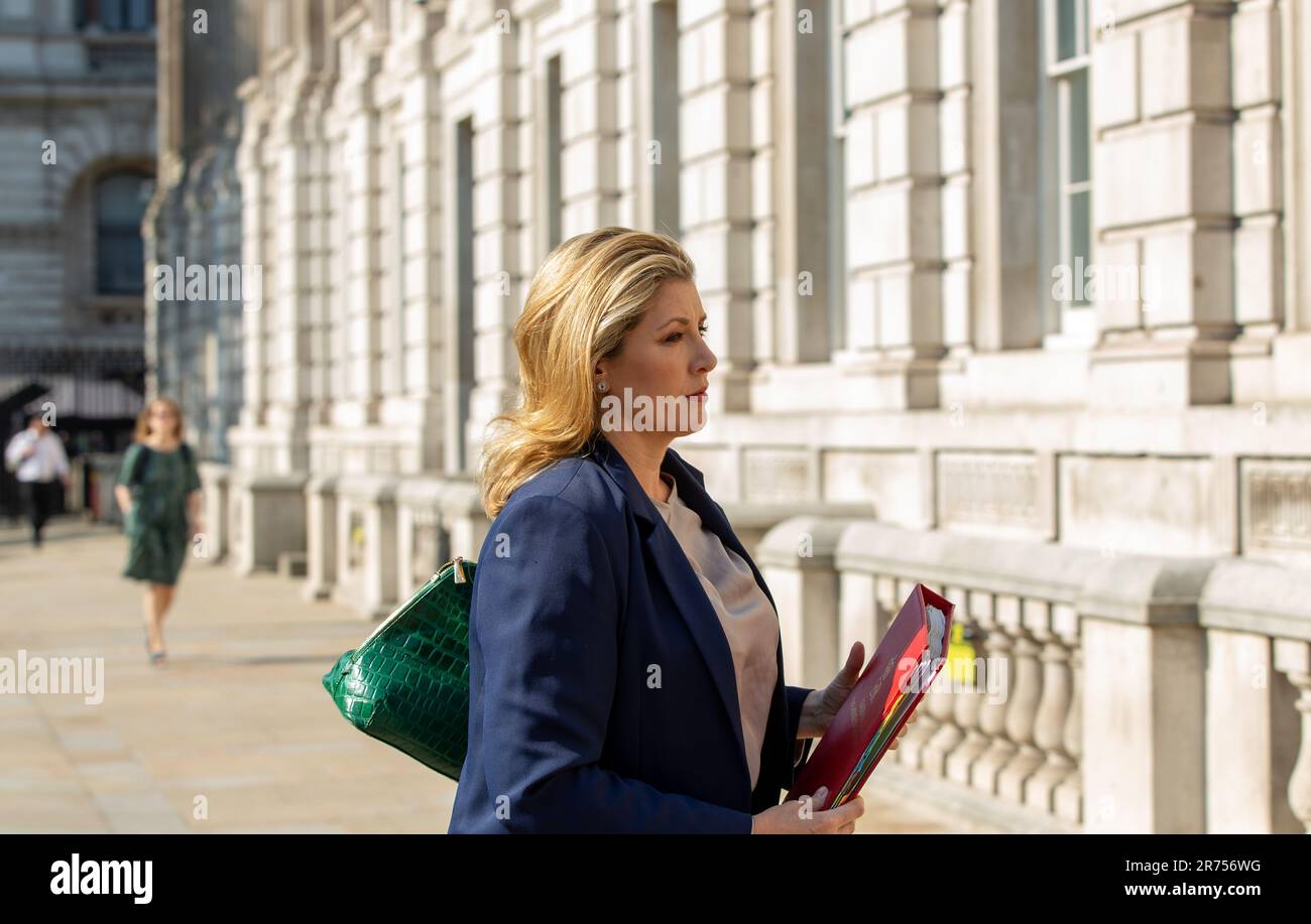 London, UK. 13th June, 2023. Penny Mordaunt MP, Conservative minister ...