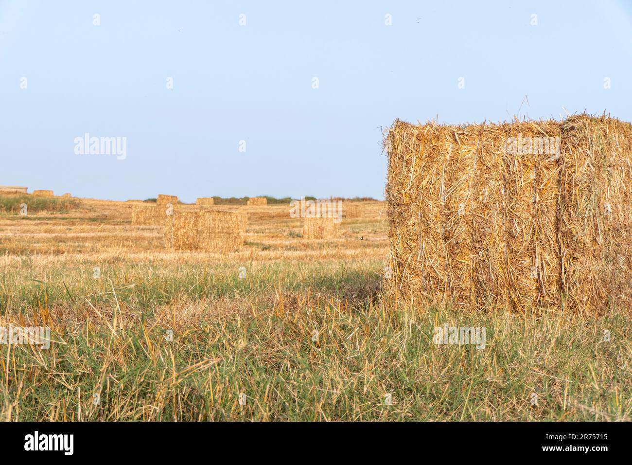 Agricultural operations hi-res stock photography and images - Alamy