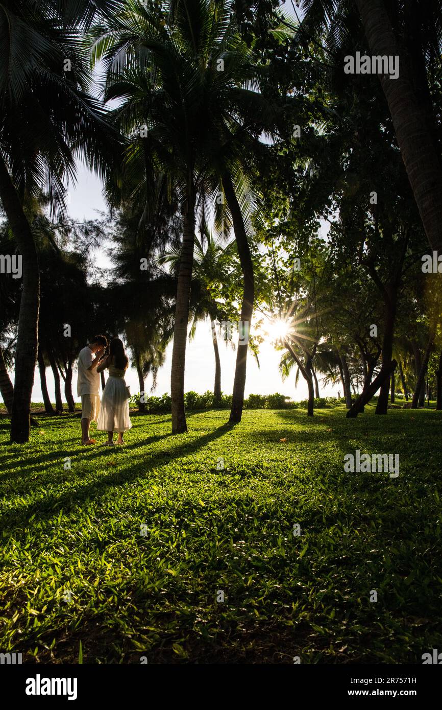 Portrait angle of beach sunset hi-res stock photography and images - Alamy