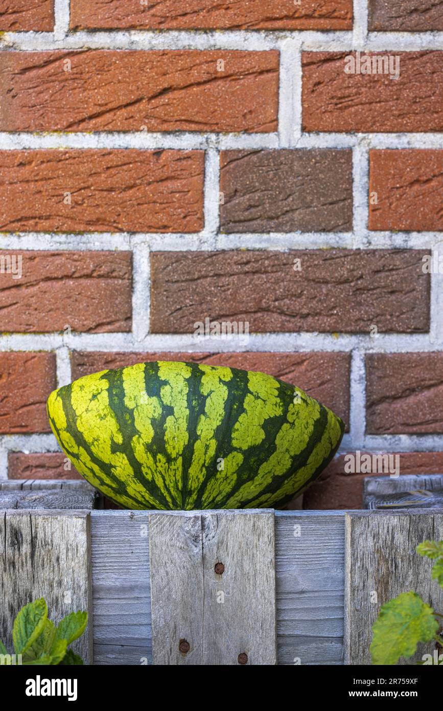 Still life food fresco hi-res stock photography and images - Alamy