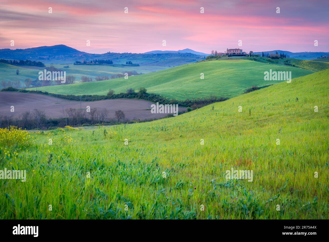Italy, Tuscany, Siena province, Val d' Asso, Tuscany landscape with ...