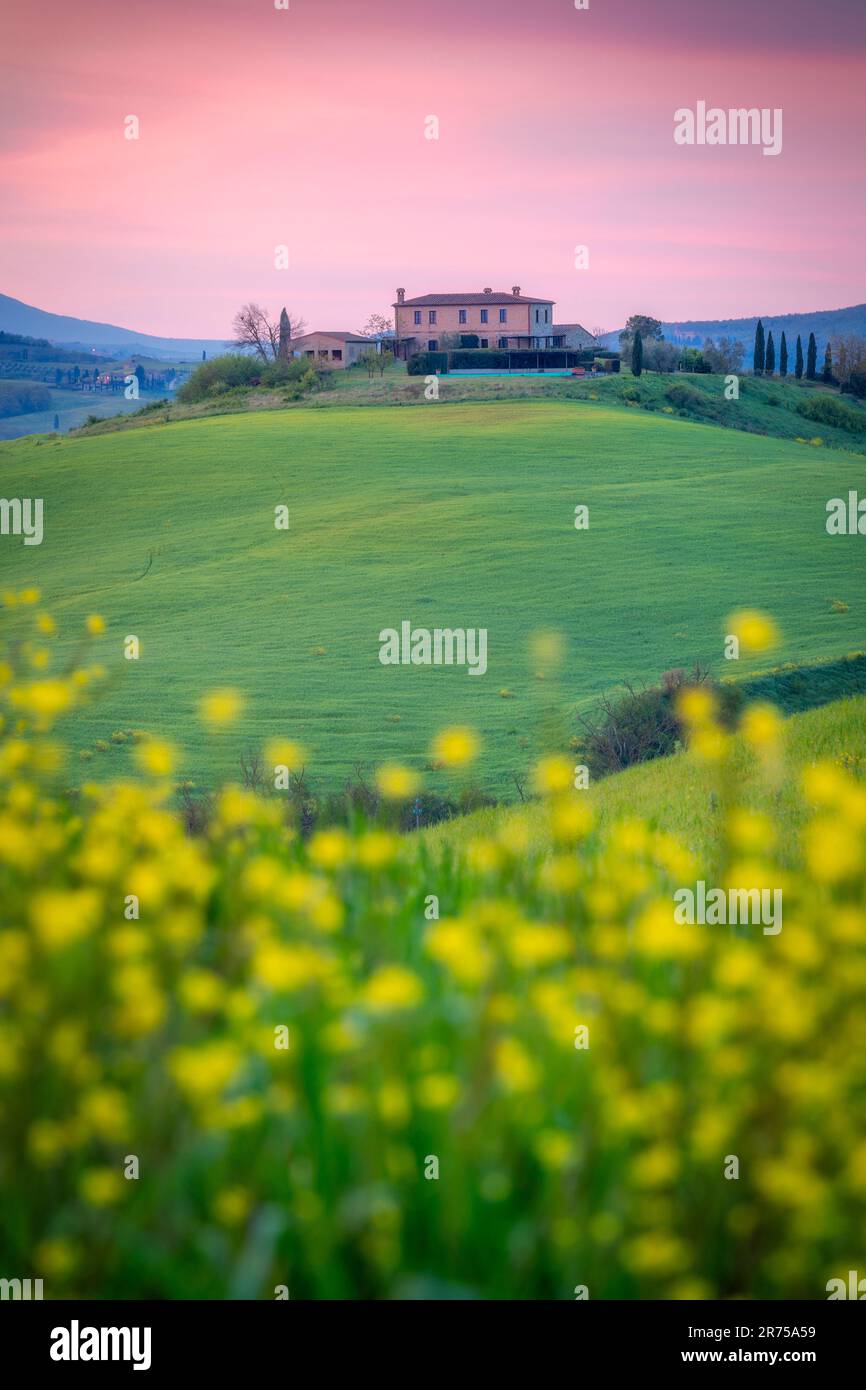 Green grasslands hi-res stock photography and images - Alamy