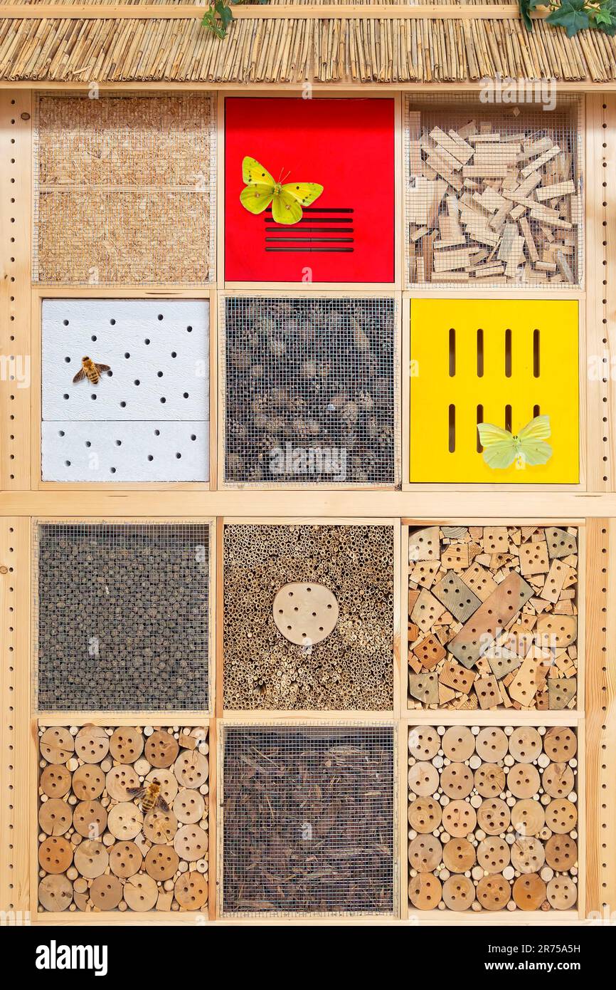 Colorful new insect hotel with bees and butterflies Stock Photo - Alamy